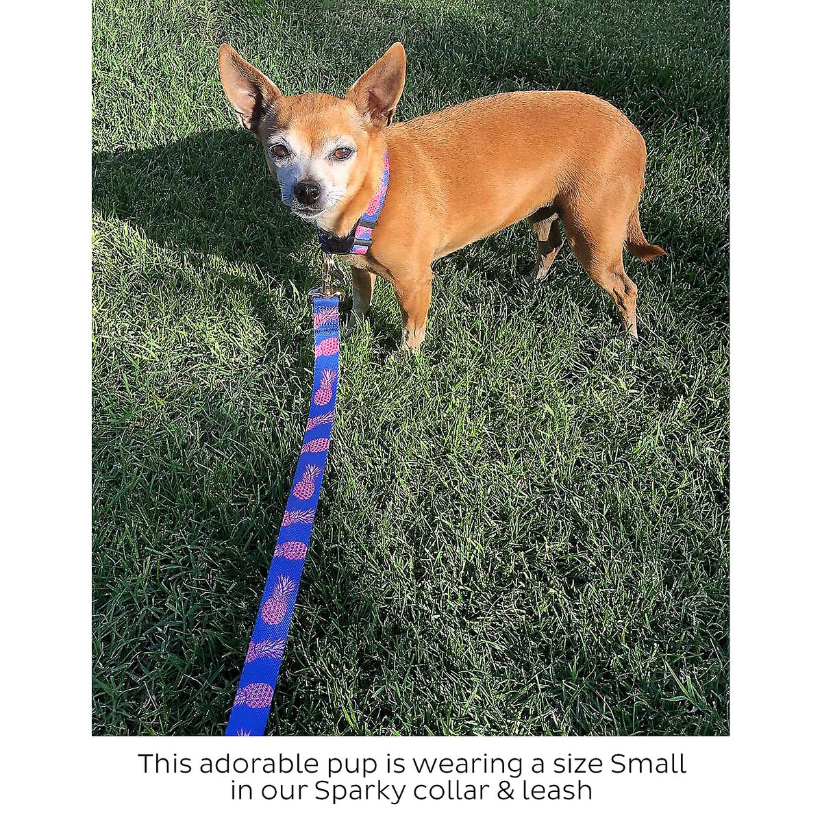 Aloha Dog Leash